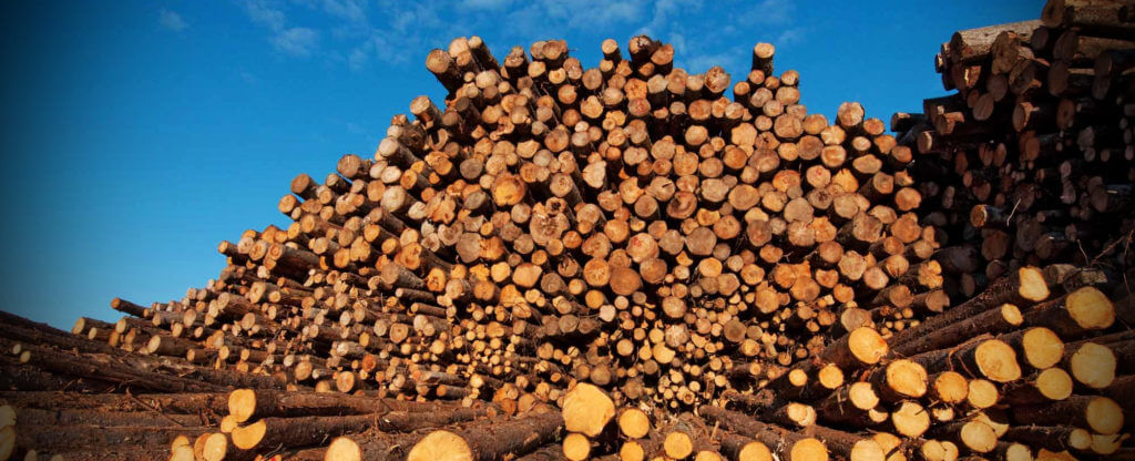 Wood Product Manufacturing | Industries | C.H. Reed